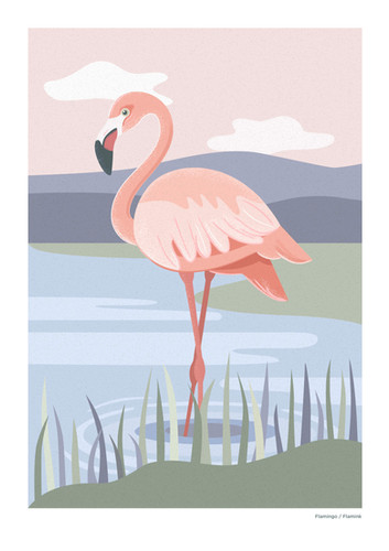 Flamingo / Flamink | Paper Horse