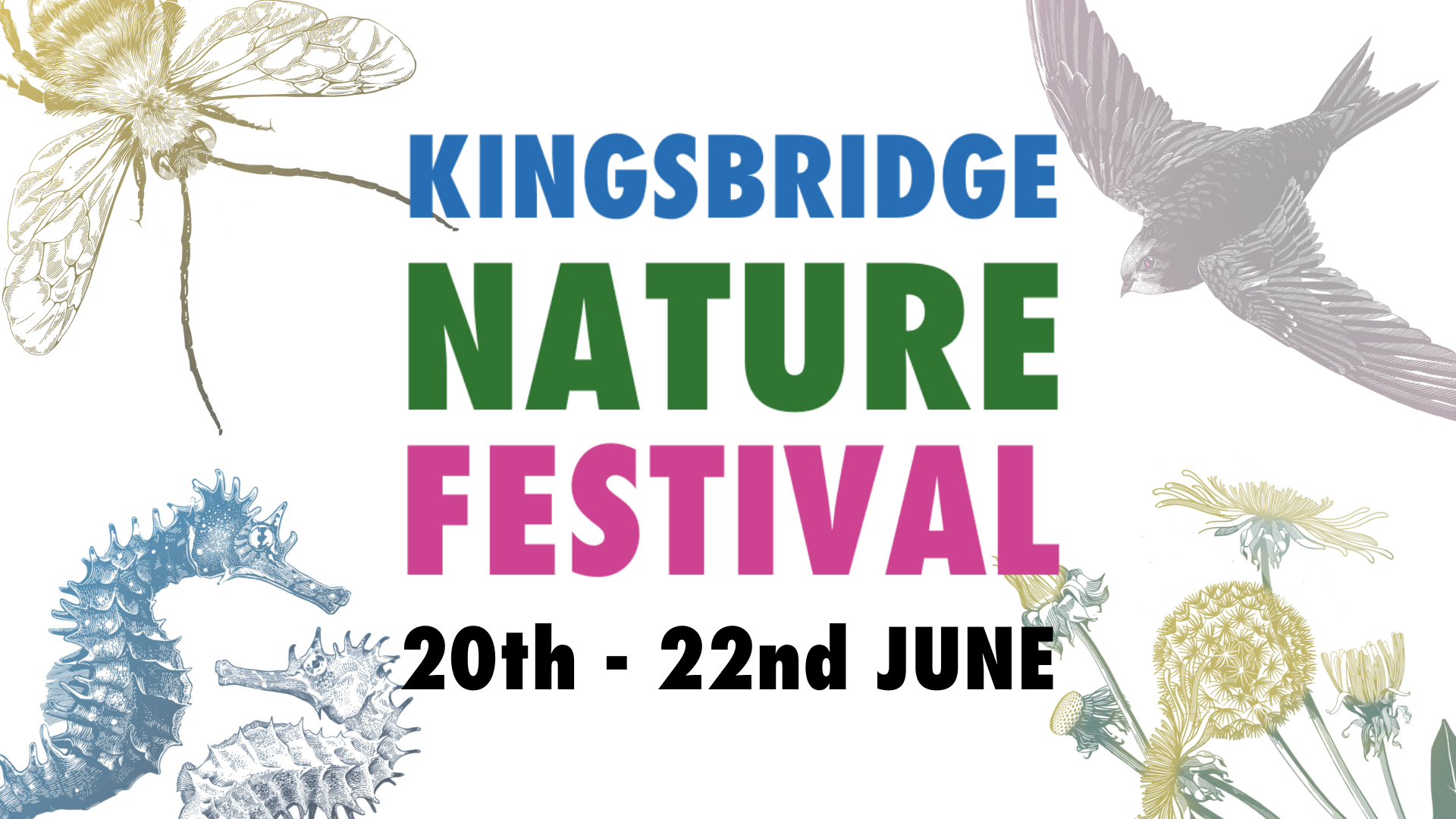 Kingsbridge Nature Festival 2024 | Kingsbridge Climate