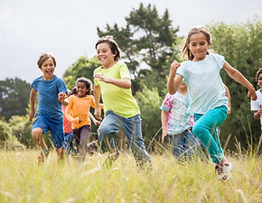 Home | Broadfield Nursery