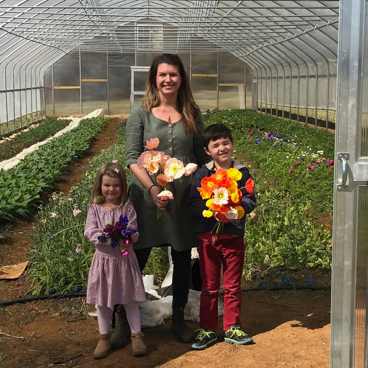 Spring Wind Farm | For Farmers Movement