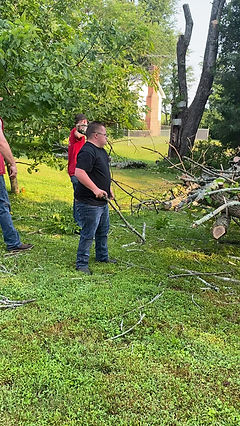 Videos | Quality Tree Service