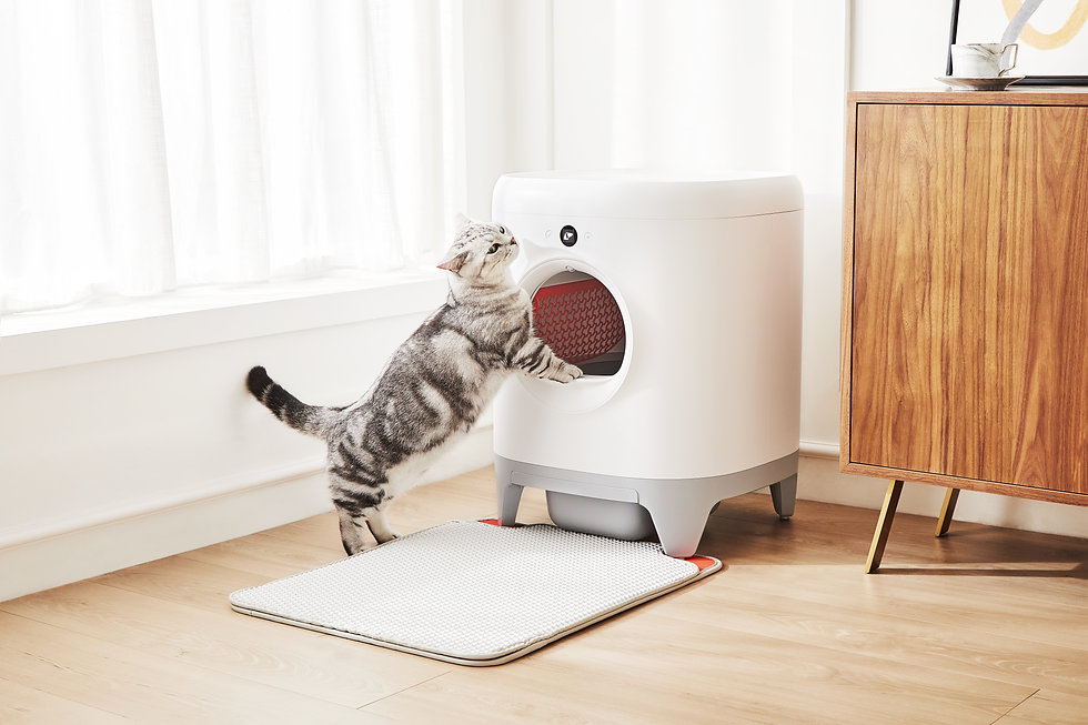 PETKIT | Smart Pet Supplies