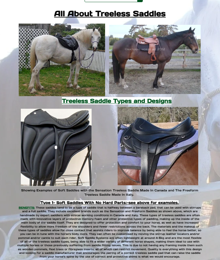 Treeless Saddle Info | Natural Horse NZ