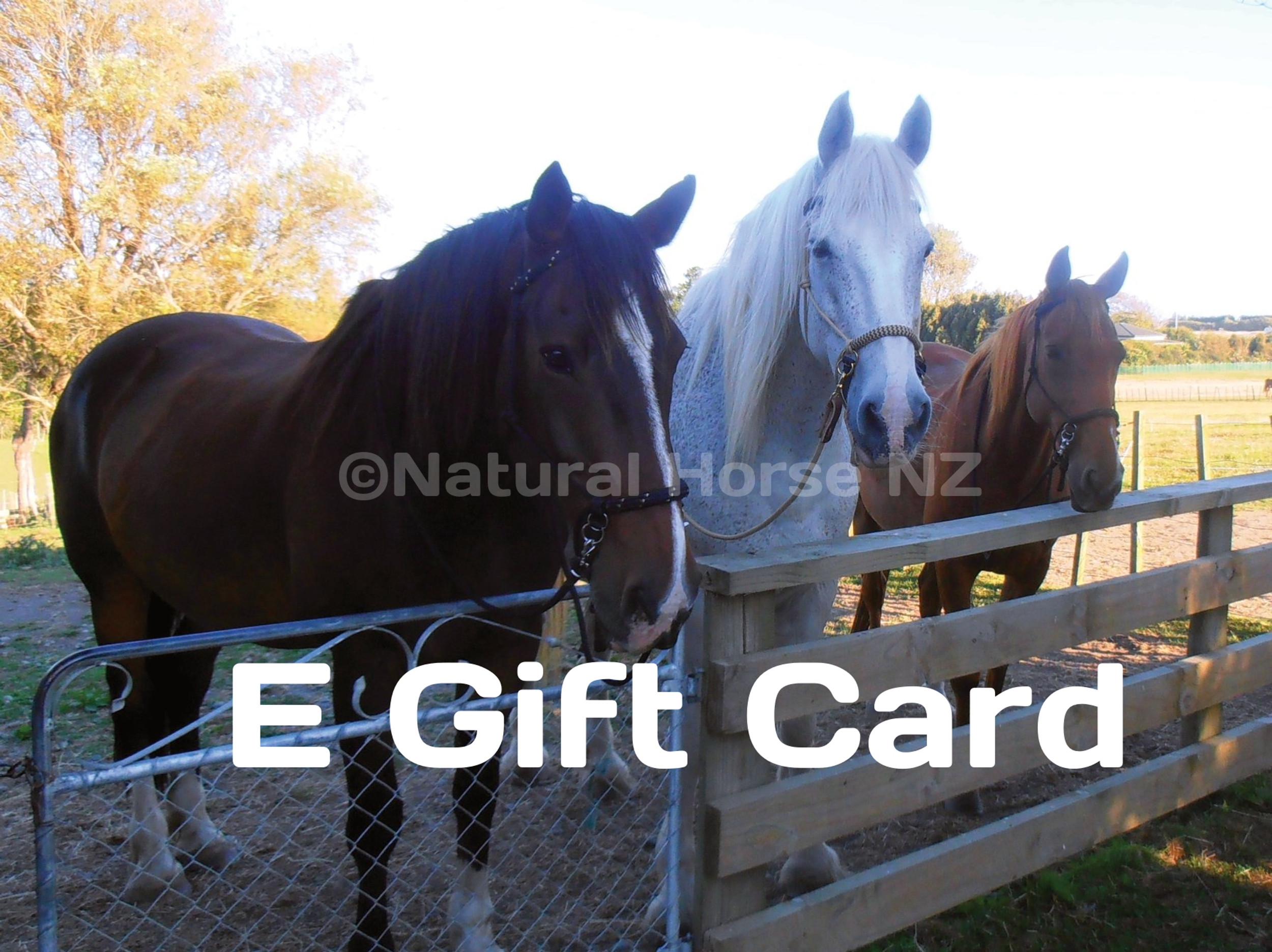 Gift Card | Natural Horse NZ