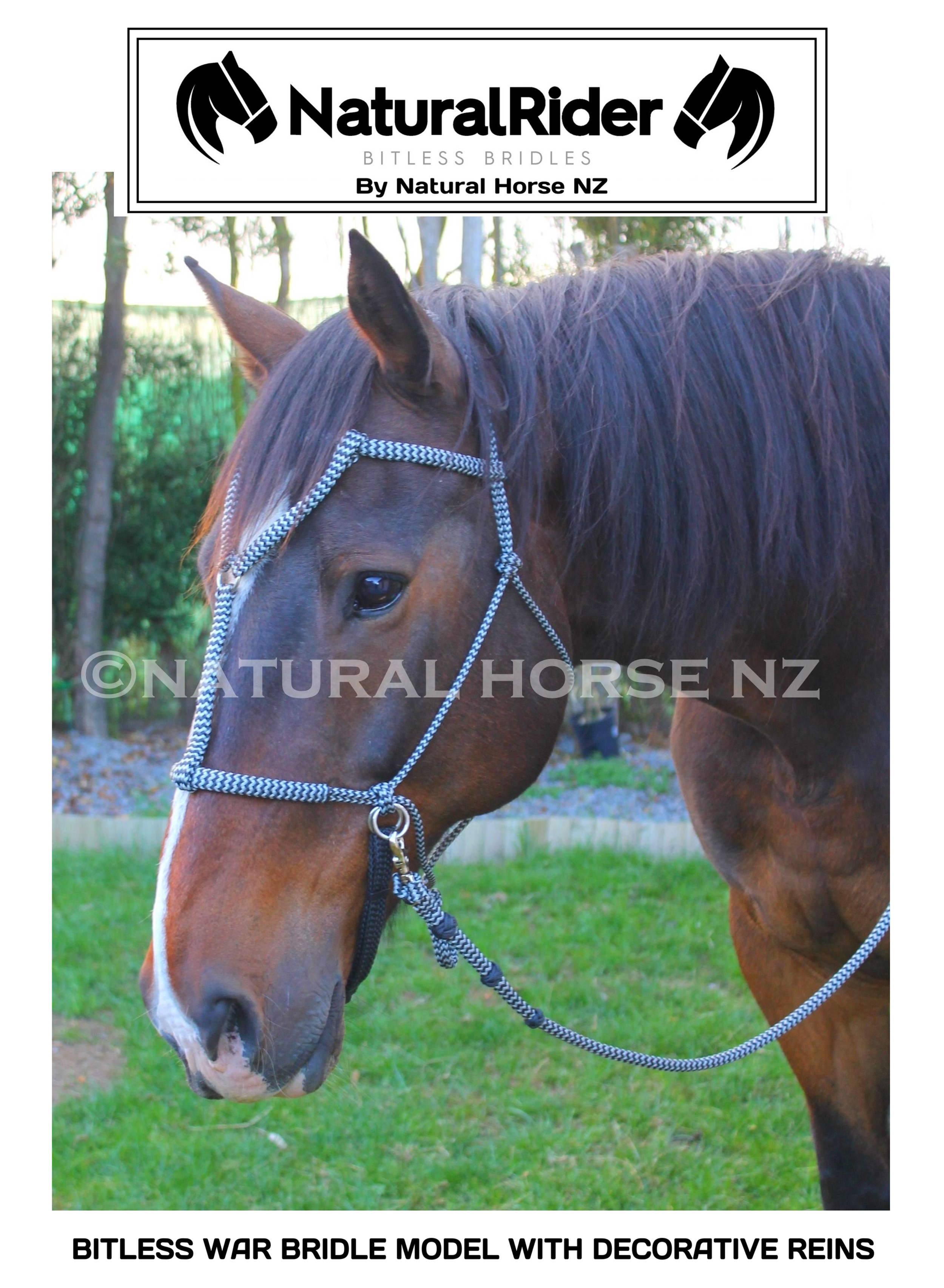 Natural Rider War Bridle and Halter All In 1| Natural Horse NZ www ...
