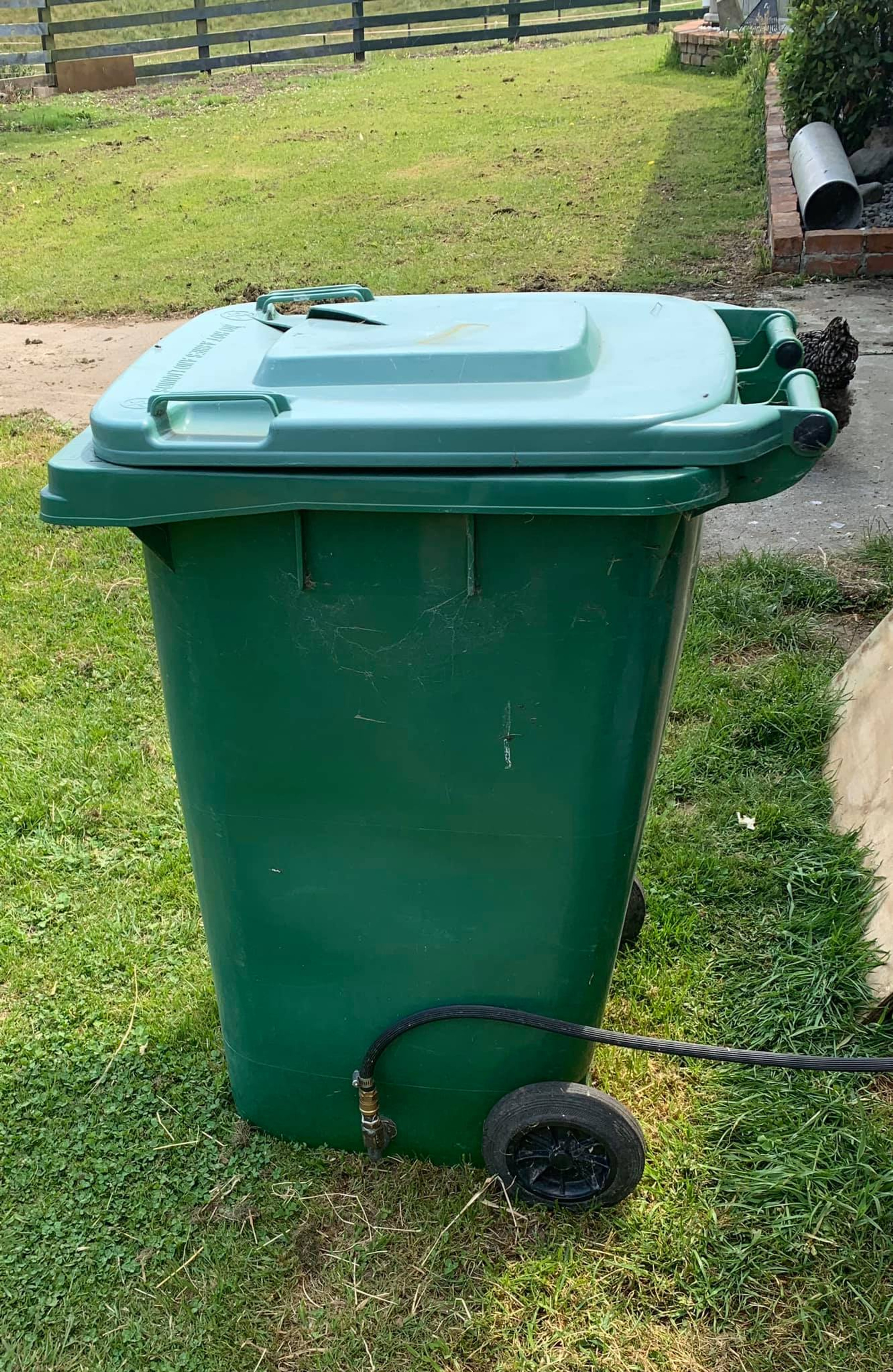 Affordable Homemade Hay Steamer Guide | Natural Horse NZ