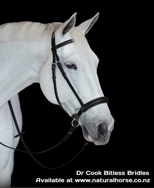 Dr Cook Bitless Bridle -English Padded Leather | Natural Horse NZ www ...