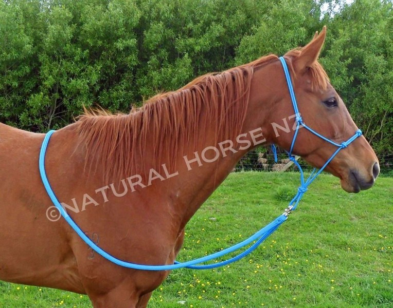 Reins for Horses and Horse Riding | www.naturalhorse.co.nz
