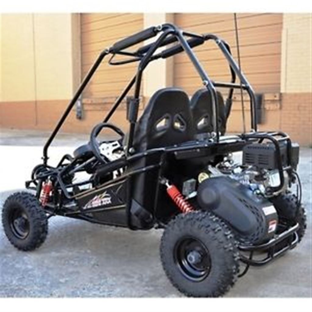 Dune Buggies / UTV | TTC Motorsports Ltd | Canada