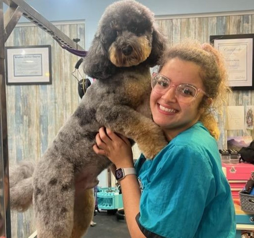 Home | All Paws On Deck