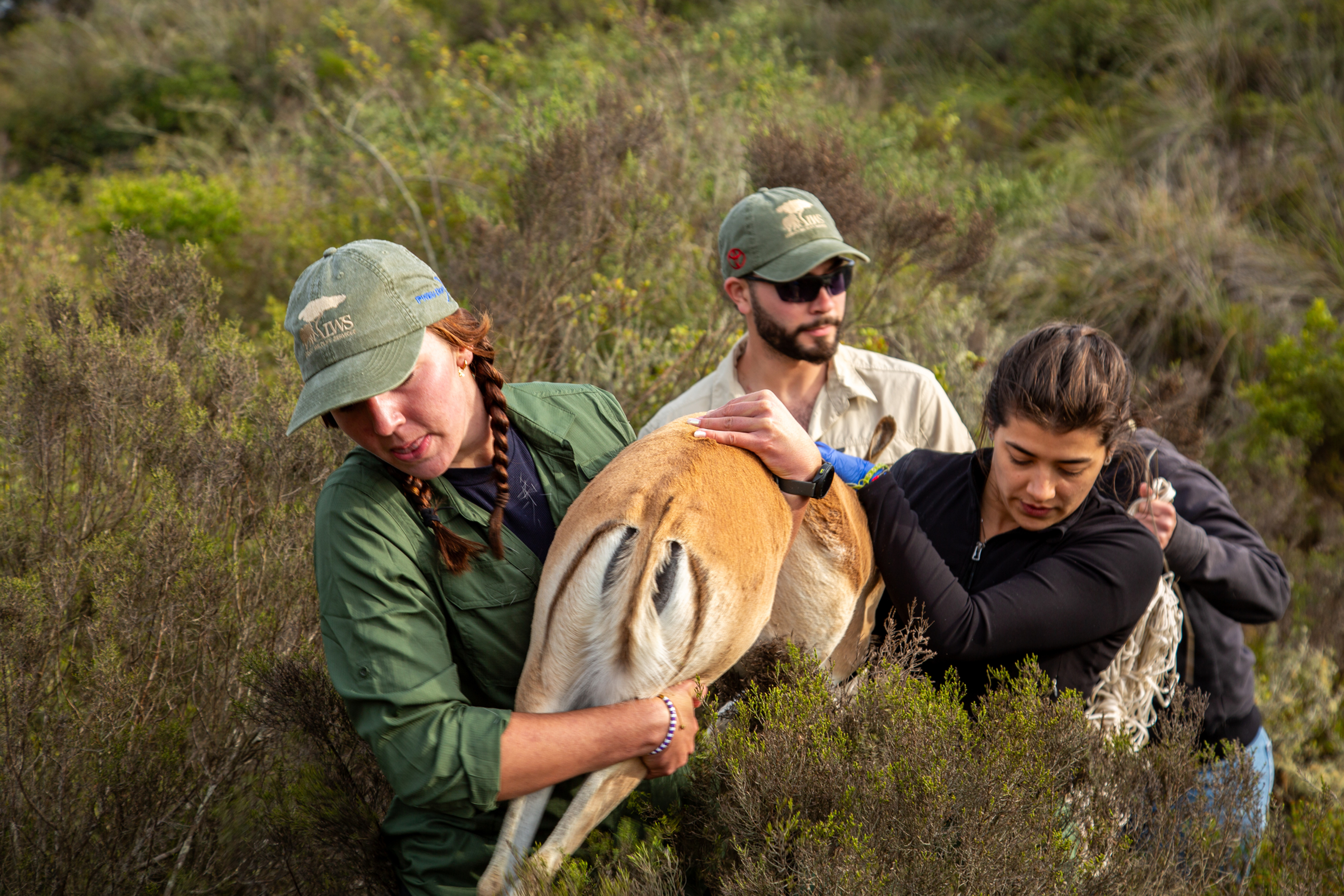 African Vet Conservation Volunteer