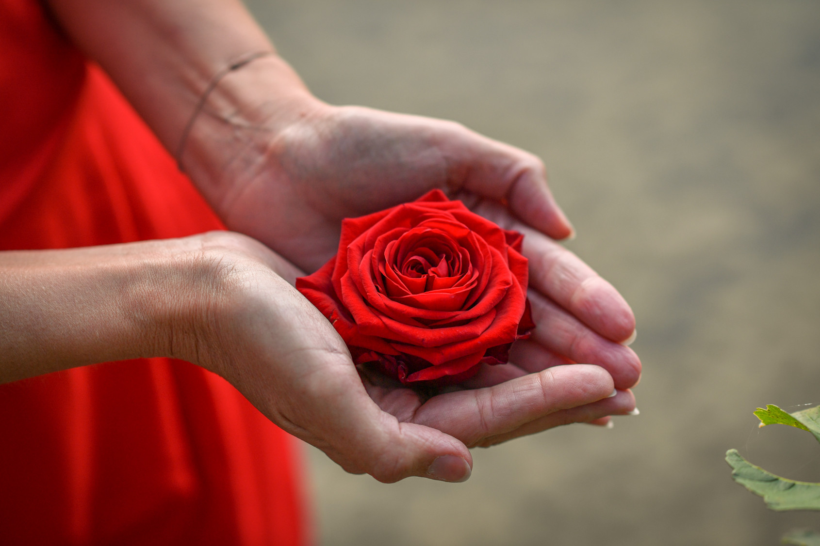 Anja Jacobs | Empowerment day | Transformationstag | Ganzheitliche ...