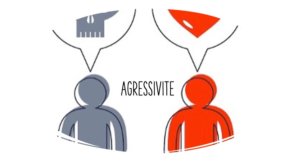 Gérer l'agressivité : Comment la repérer et la gérer de manière ...