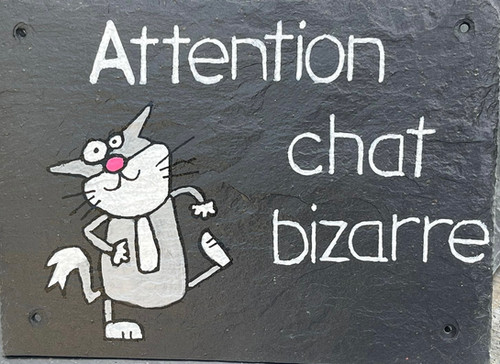 Ardoise attention chat bizarre | Artisan Français