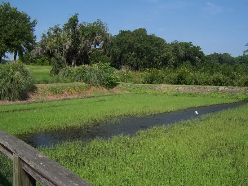 RICE AND SLAVERY IN COLONIAL AMERICA