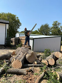 HOME | Rj Tree Service