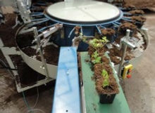 EVO2 Potting Machine | Potting Machines | Rotomation UK