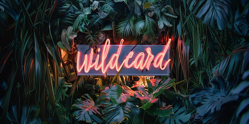 Wild Card 2.0 - The Rebrand