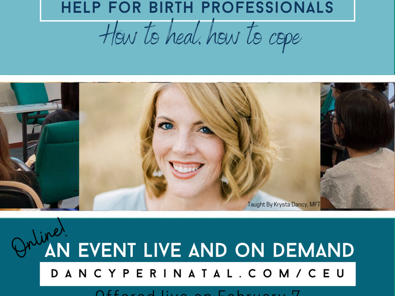 After a "Bad Birth" Help For The Professional | Dancy Perinatal