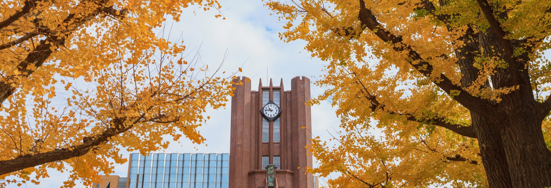 The University of Tokyo