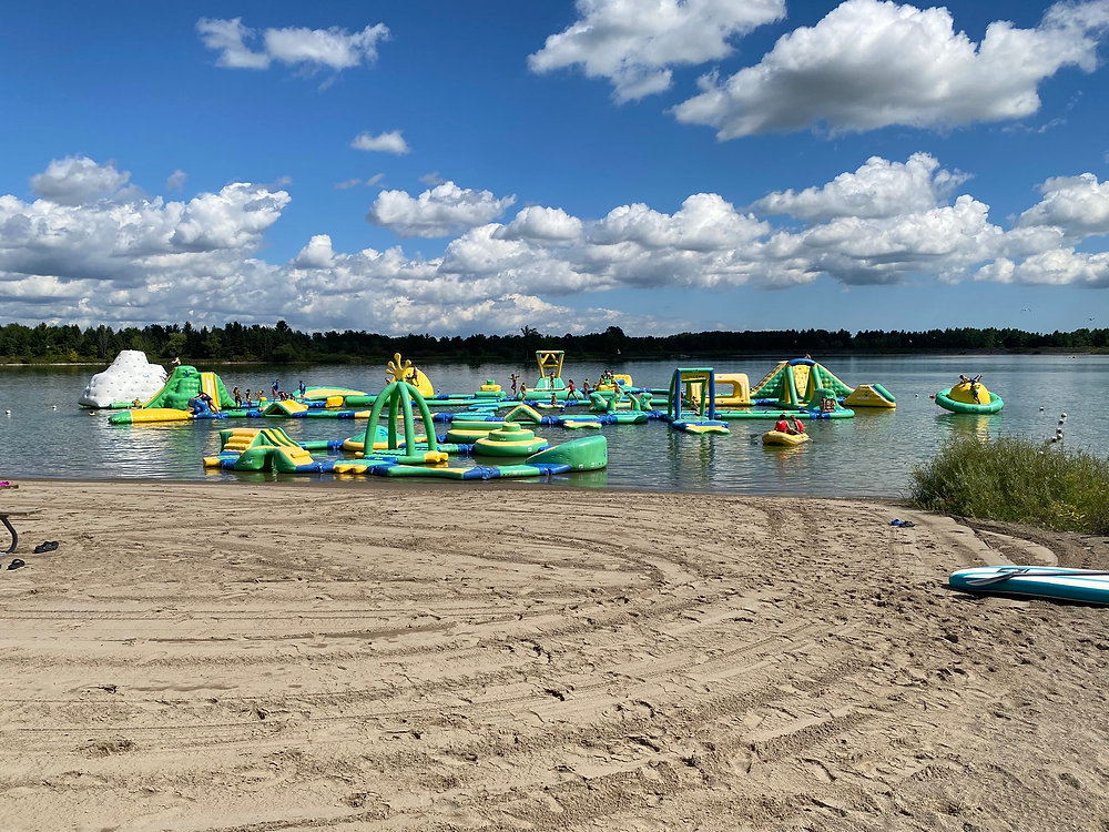 Discover Summer Fun at Binbrook Conservation Area and Tree Top Trekking