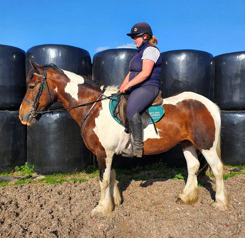 TILLY | Pentland ponies