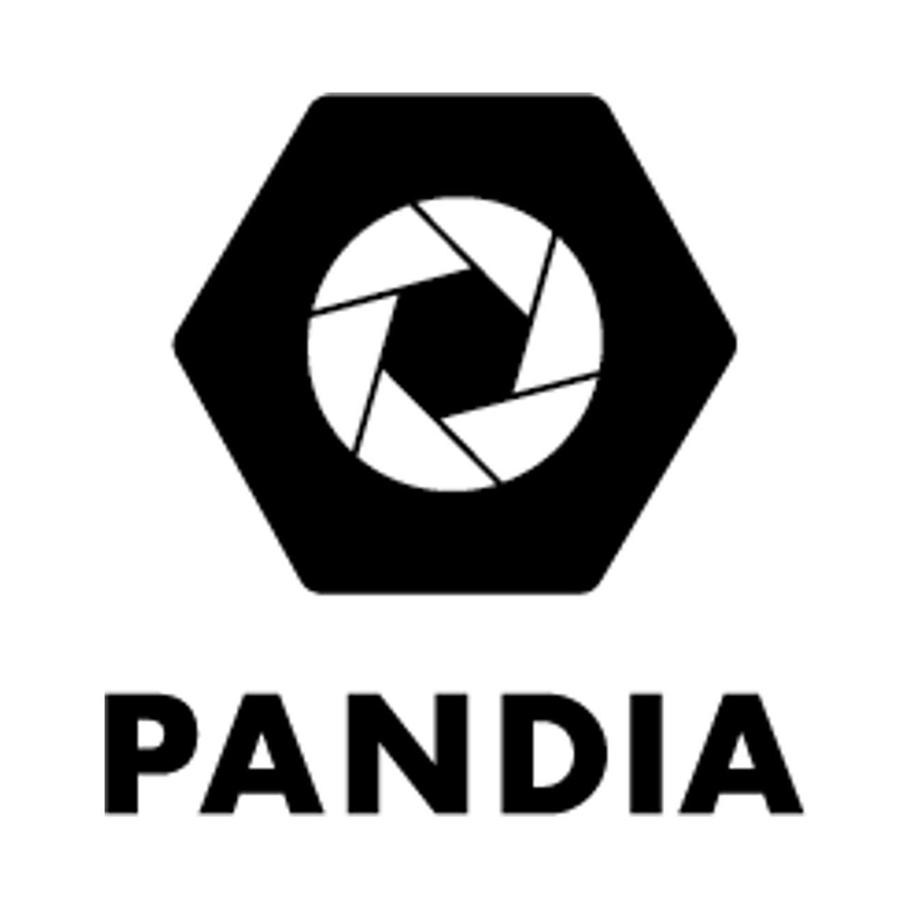 Pandia GmbH