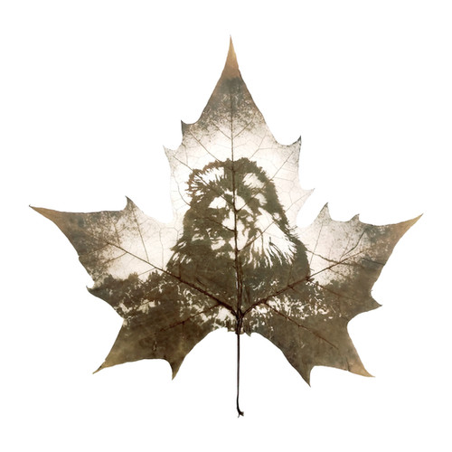 Leaf Carving Art - Wild Majesty | ideaPOT