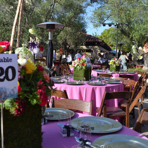 GALLERY | Calico Events