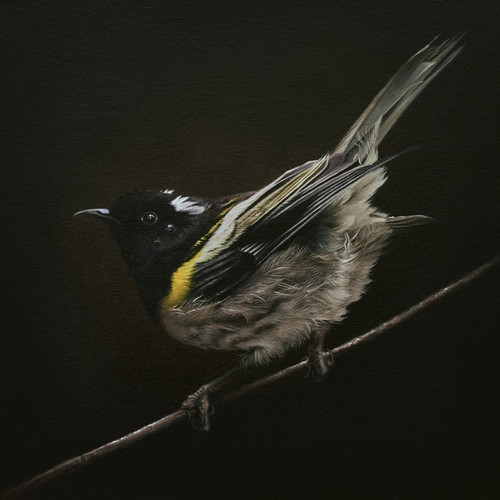 Little Ray Of Sunshine (Hihi - 'meaning ray of sun') - SOLD | janecrisp
