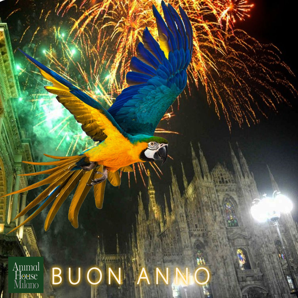 Negozio di animali milano | Animal House Milano | Milano