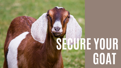 Bruce Farm Meats | Rivers Edge Goat