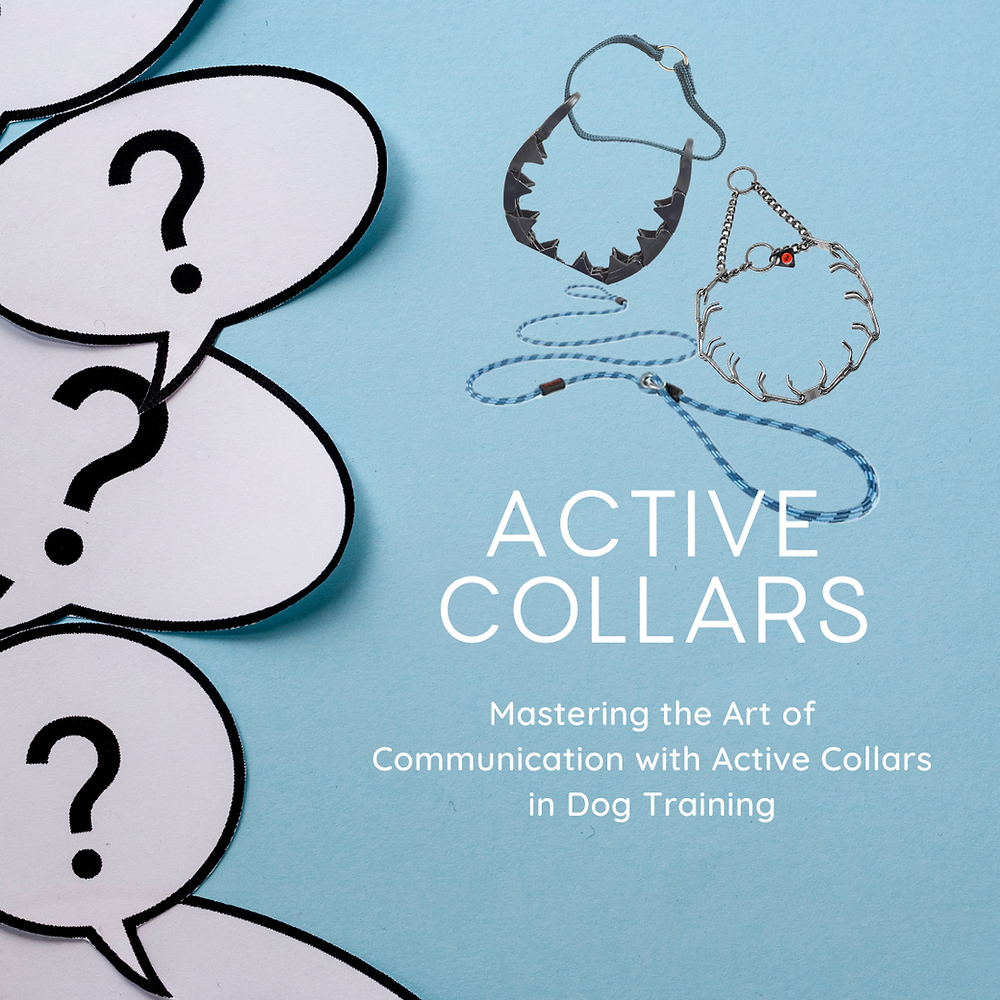 Effective Training Tools: Active Collars, Prong Collar, Slip Lead ...