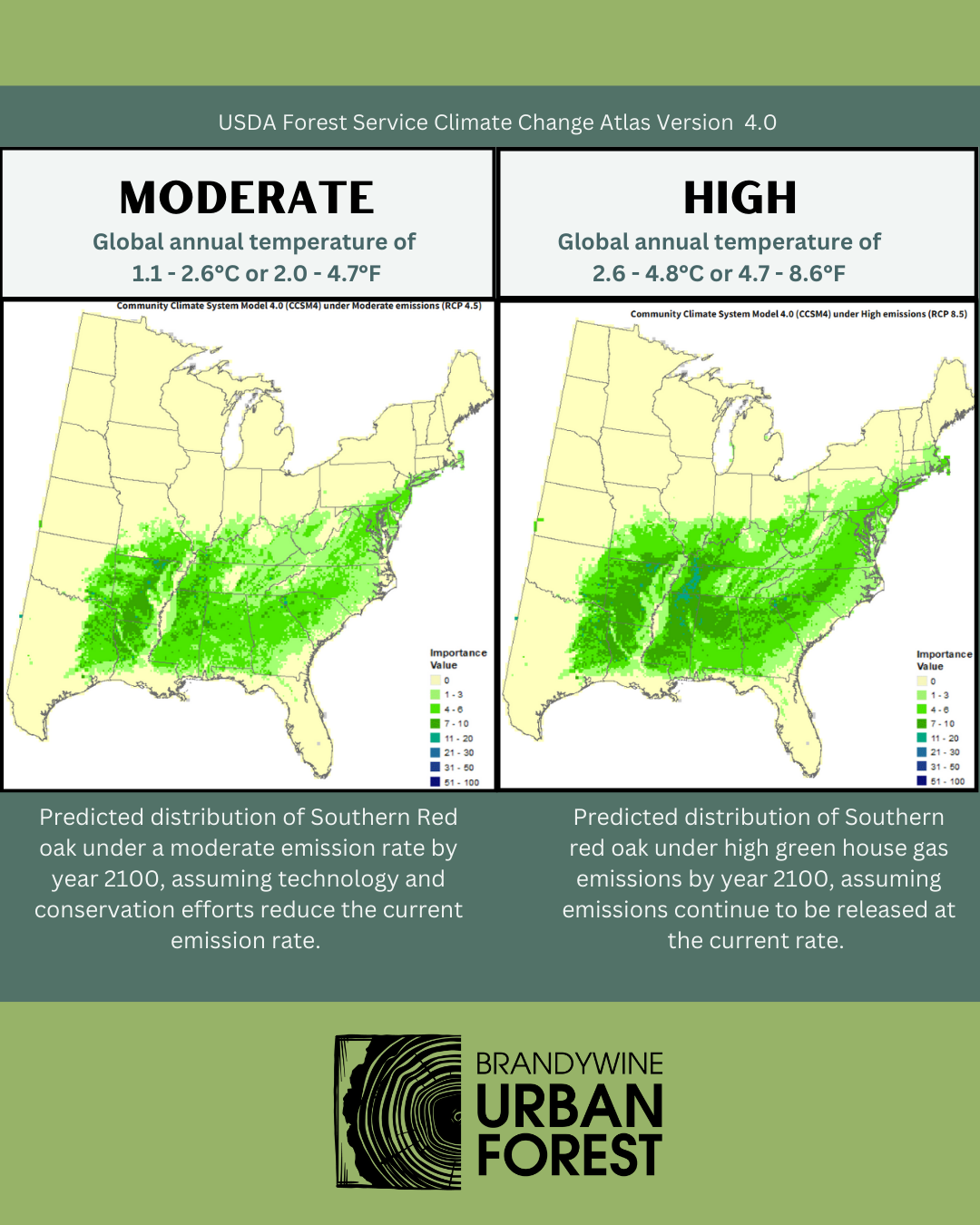 Climate Resilient Canopy: Southern Red Oak