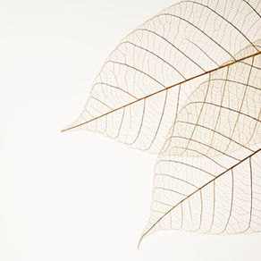 Home | Recovery Council of Southeast Texas