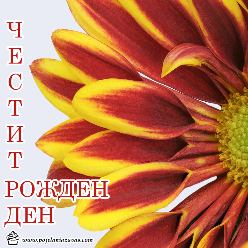 7 Цветни Картички за Рожден Ден ЦВЕТЯ