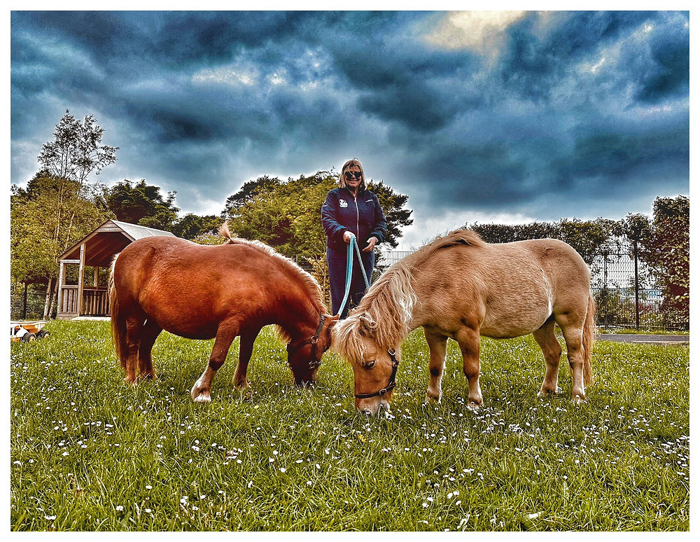 Equine Facilitated Learning: Knockevin Special School