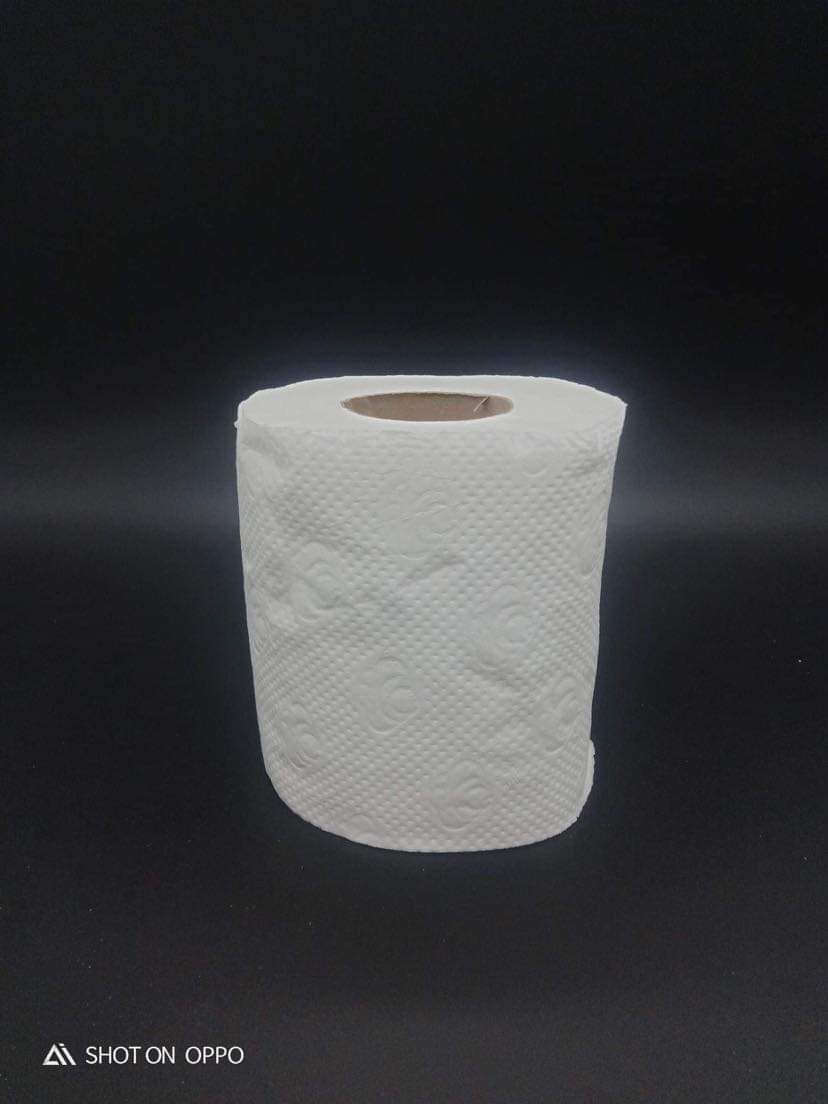2-ply-roll-pulp-materil