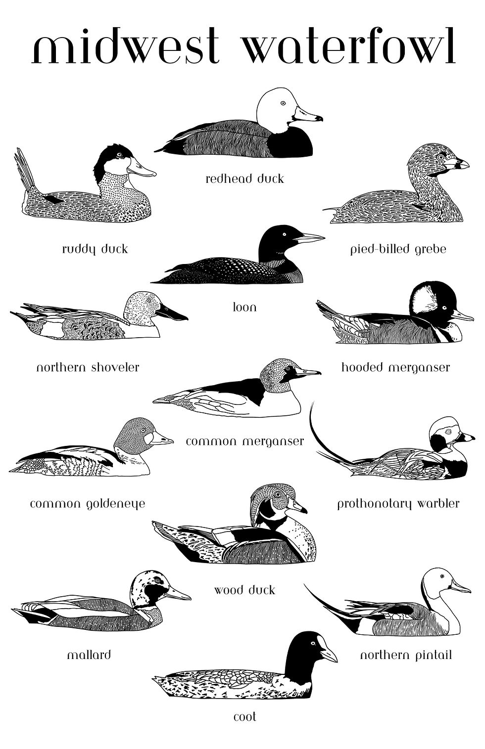 Prints | Forest Press Co