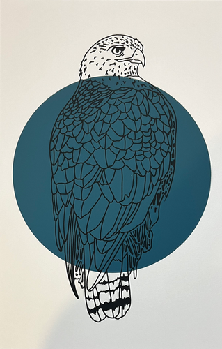 Red-tailed Hawk Print | Forest Press Co