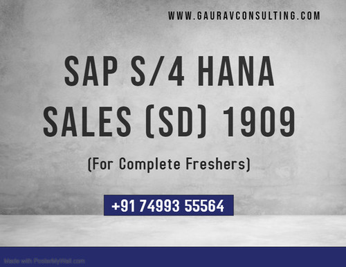 SAP S/4 HANA 1909 Sales (SD) 1909 Videos Course | Gaurav Learning Solutions