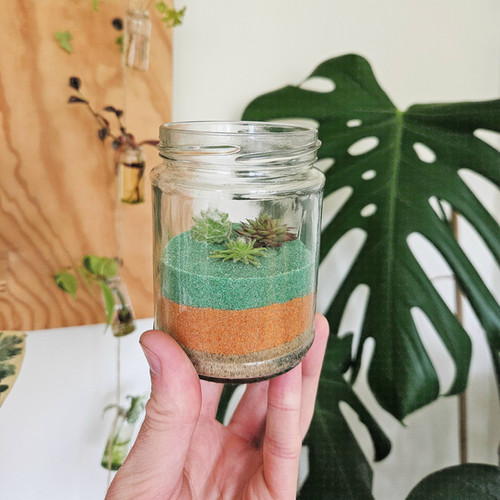 7.5cm DIY Succulent Desert Terrarium Kit with Tools – Choose your Sand ...