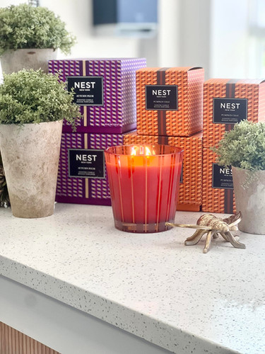 One Wick Nest Fragrance Candles | MERIDIAN FITNESS