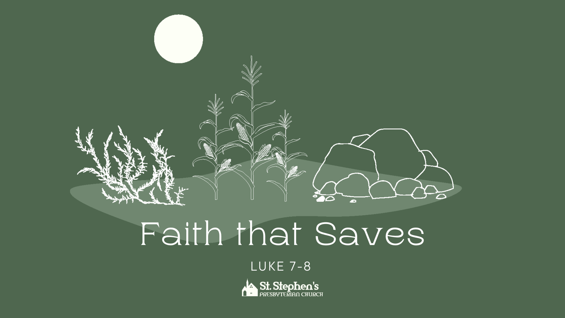 The Seed of God's Word