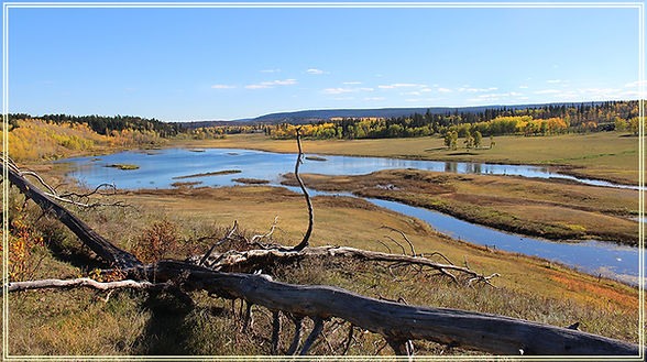 Greenbelt | 108 Mile Ranch