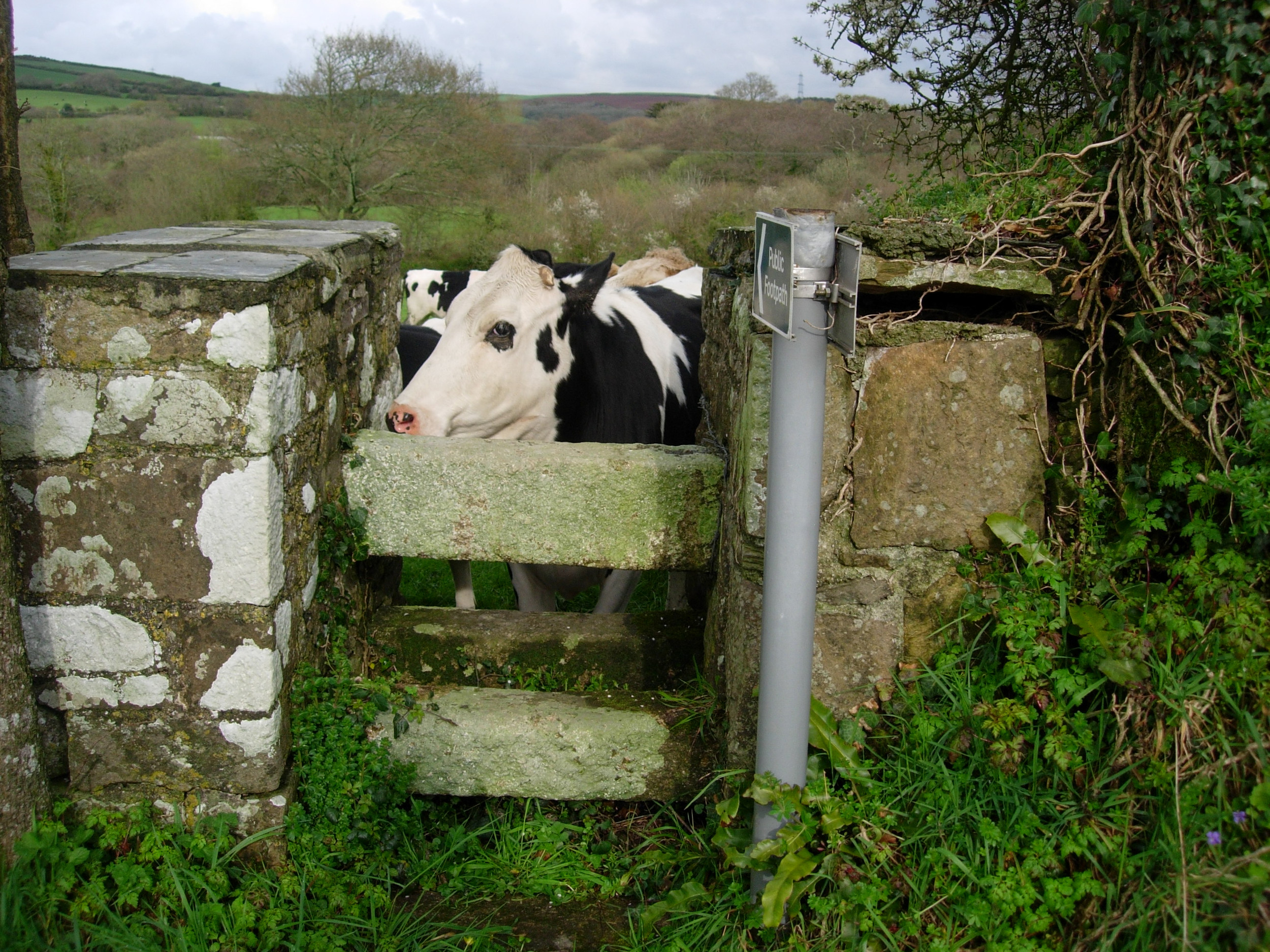 A stile is something to be climbed