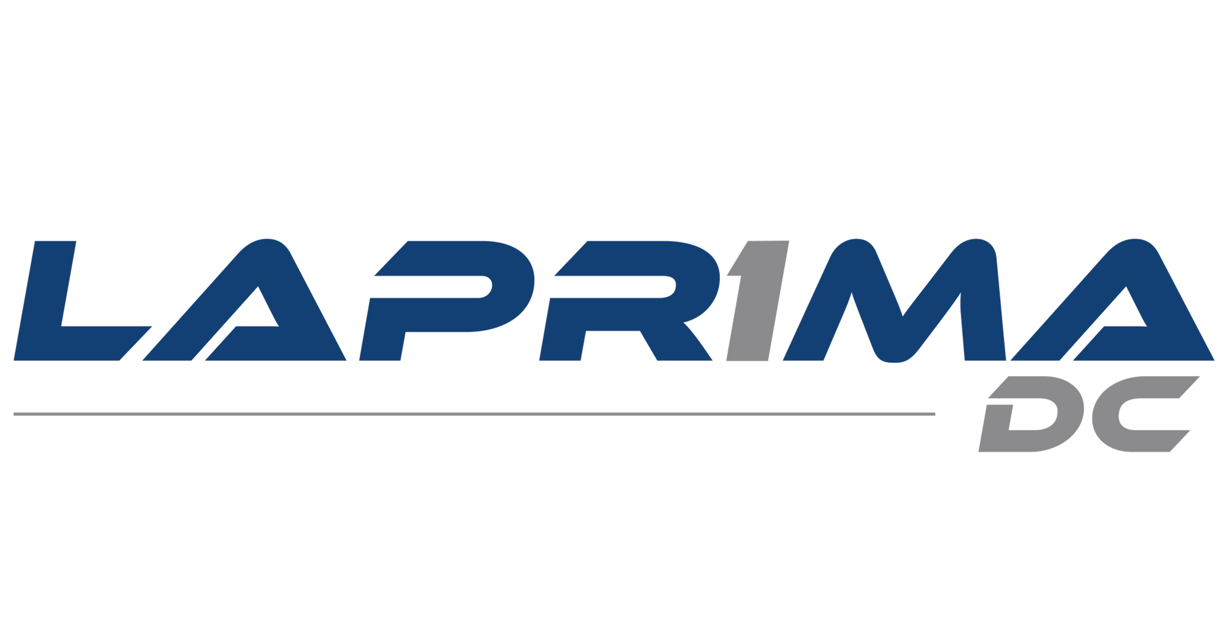 Paint Protection Film in Northern Virginia | LaPrima DC