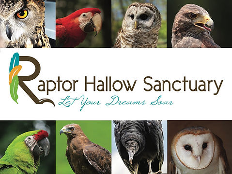 Home | Raptor Hallow