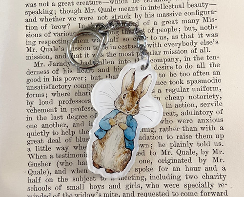 Peter Rabbit Illustration Keychain | My Site