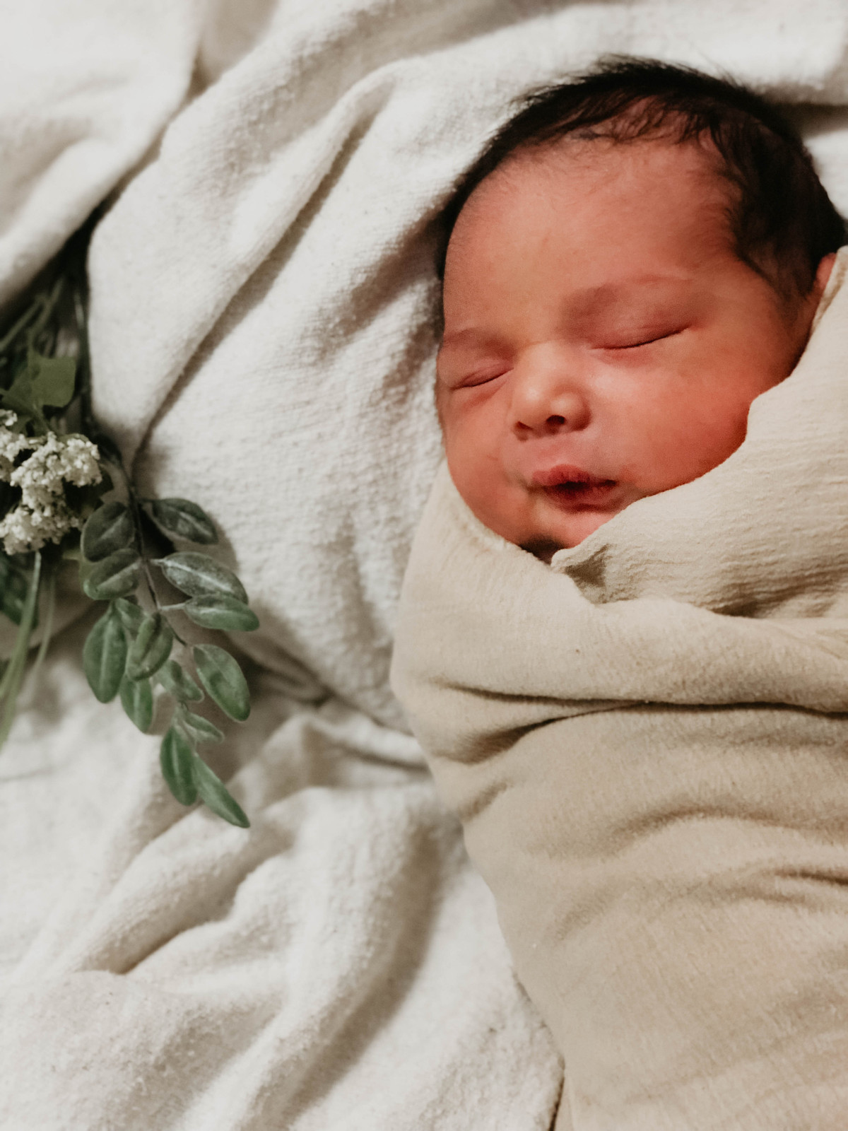 CAROLINA ALEJANDRE PHOTOGRAPHY | Emmanuel Birth Announcement